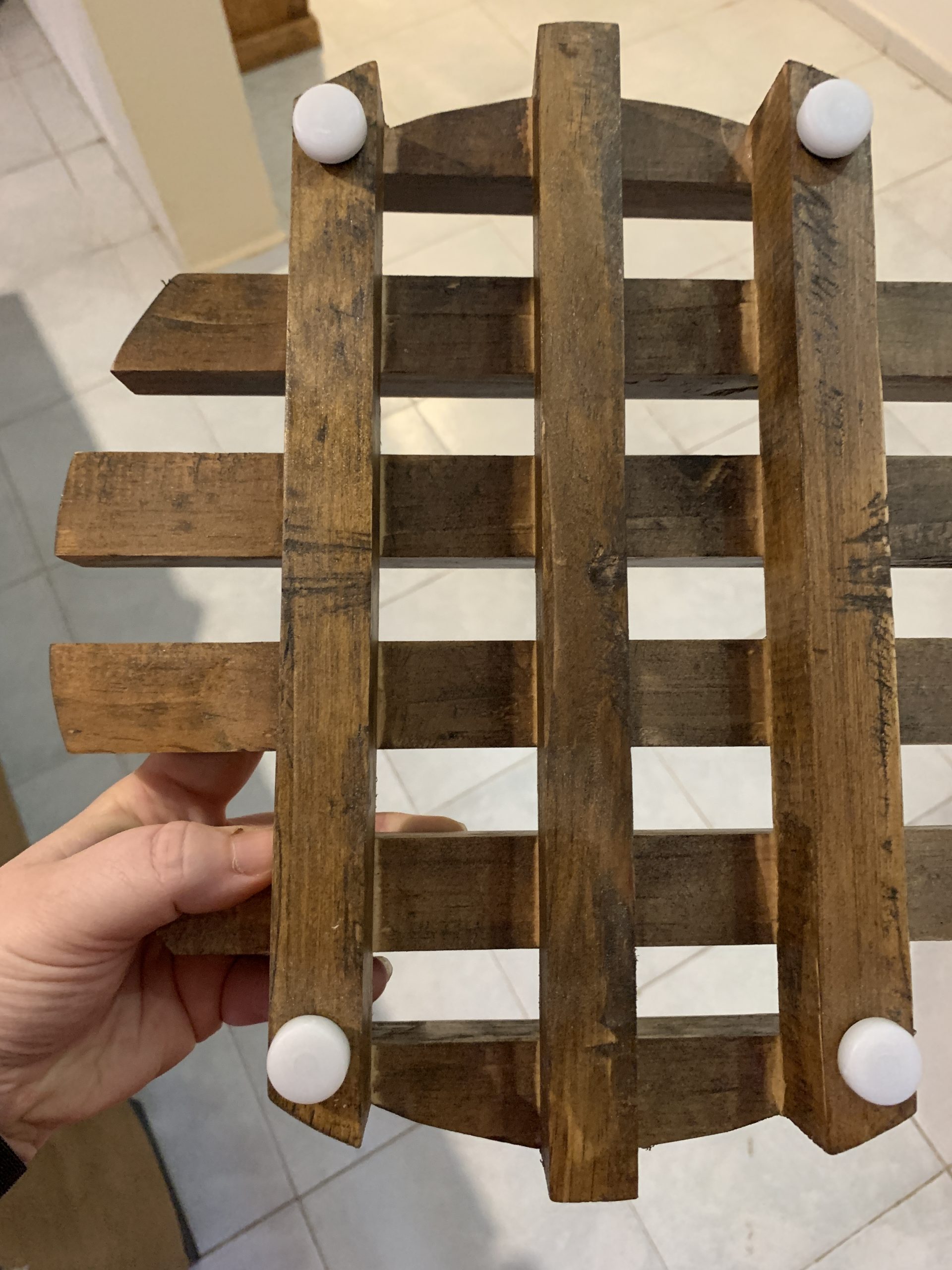 Learning To Be a Plant Parent