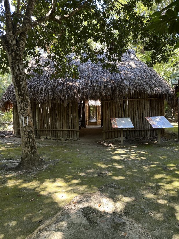 El Jardín Botanico Dr. Alfredo Barrera Marín (Puerto Morelos)